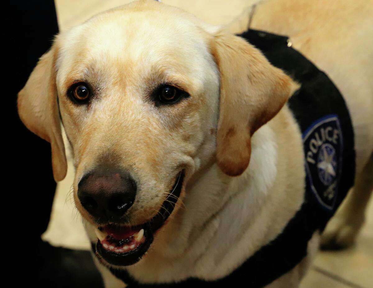 Spring ISD Police get new K9