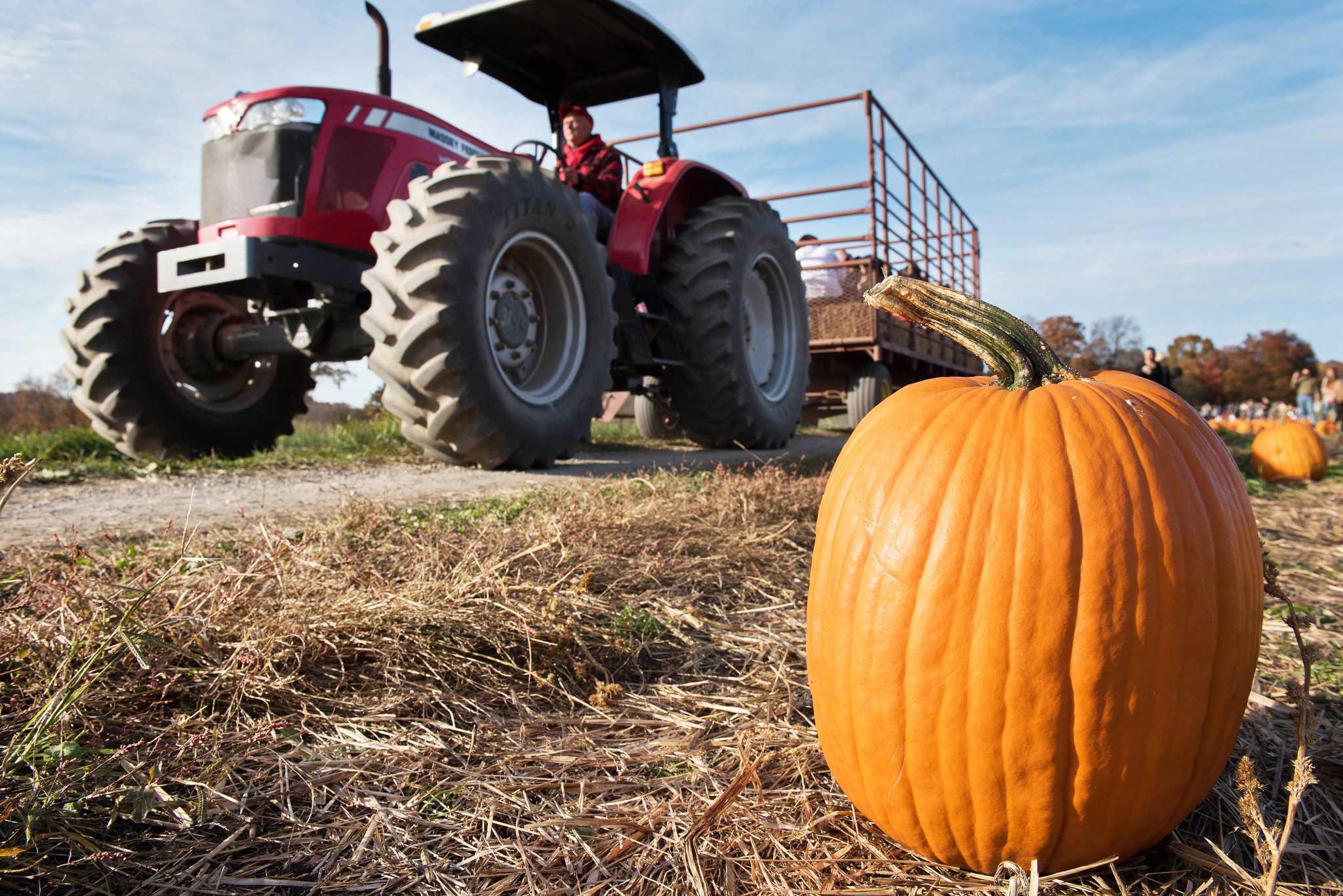 6 hayrides for fall fun in Connecticut