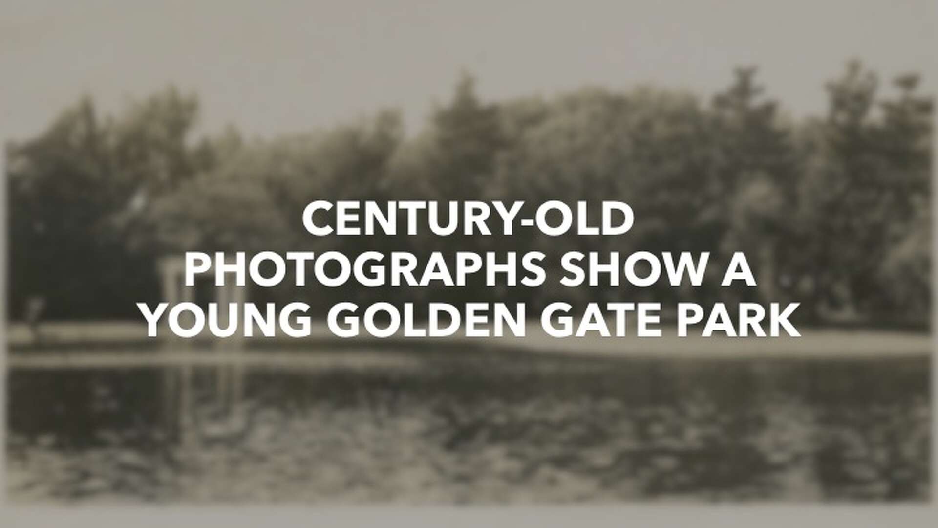 Horses in the back: Now you can ride a horse in Golden Gate Park