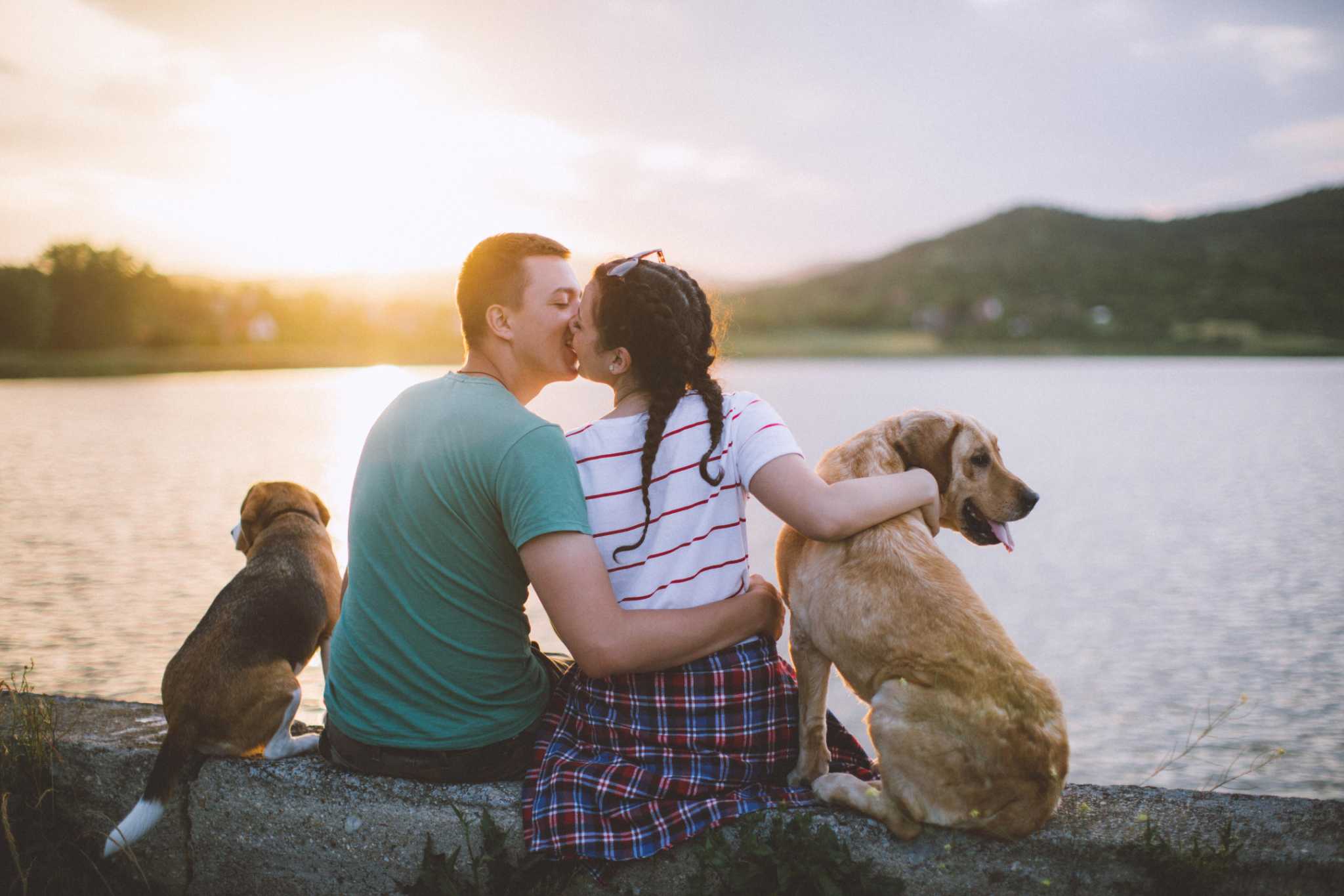 Need help with your love life? Get a dog