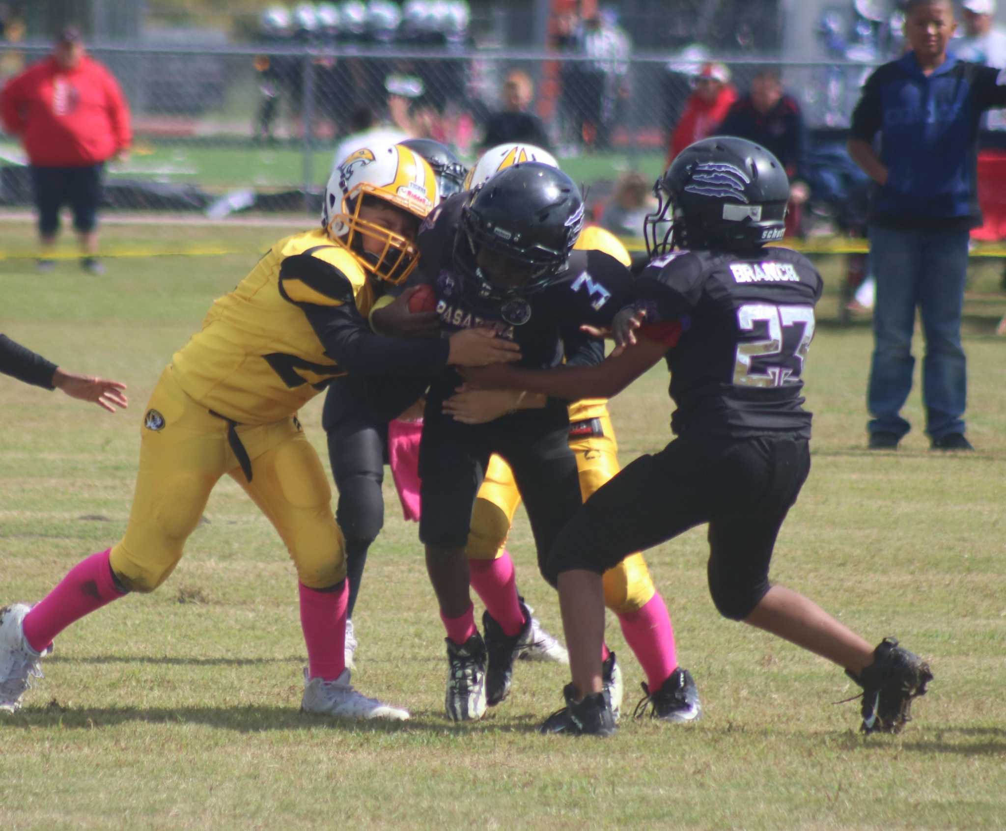 Pee Wee, Sophomore Tigers, Junior Rams return to TIFI playoffs Saturday