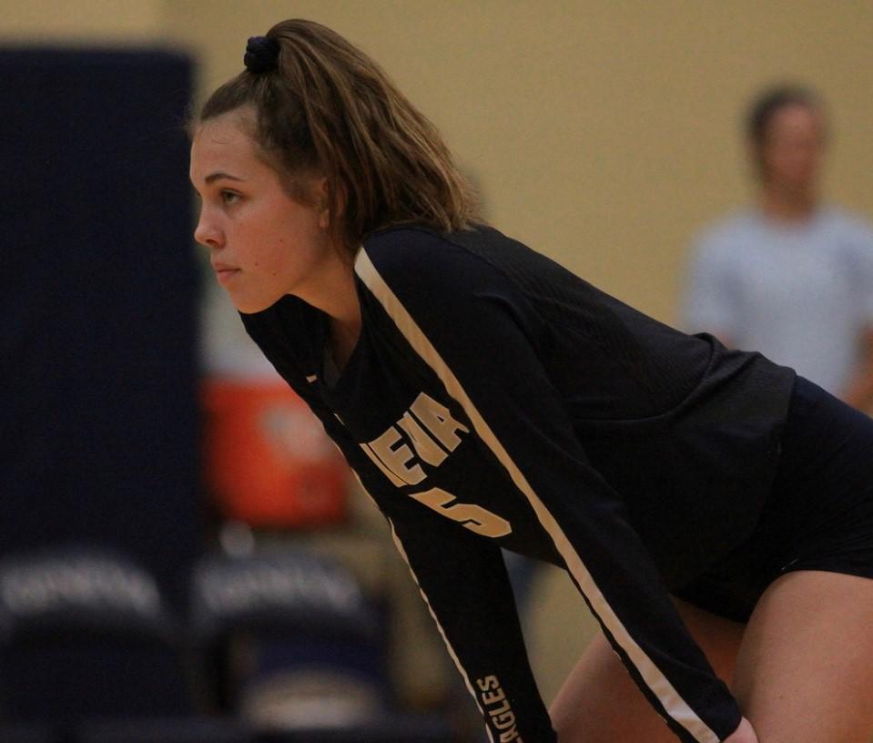 H.S. volleyball: Final E-N rankings, top players