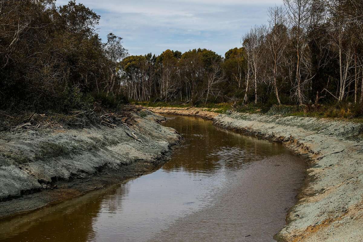 Restoring a San Mateo County creek to help fish thrive