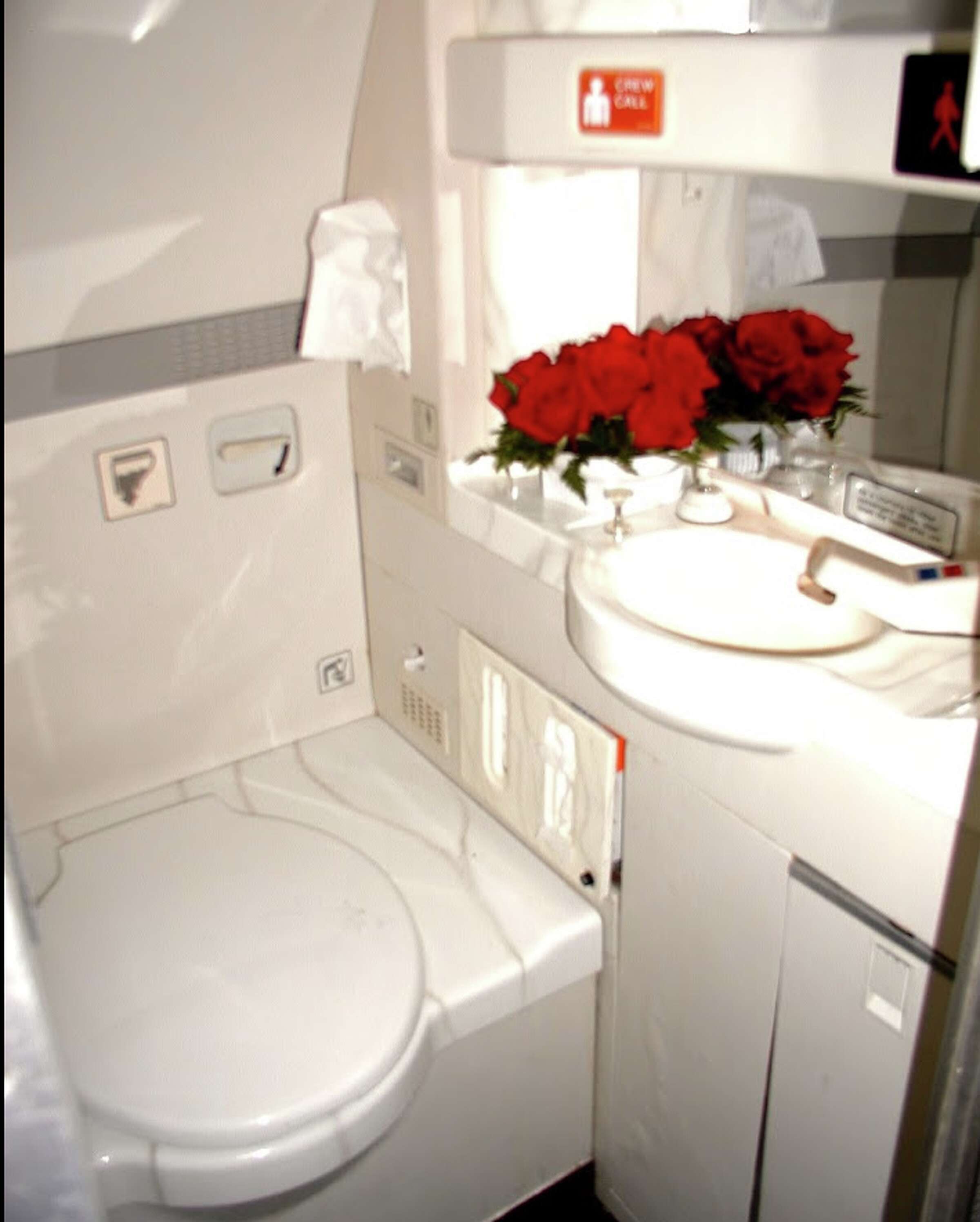 Airplane toilet seats: Up or down?