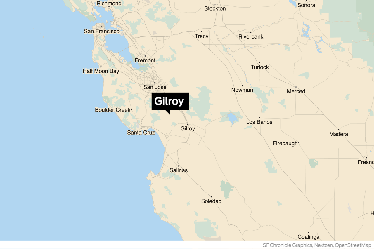 Gilroy mother arrested: She tells police she drowned her 2-year-old ...