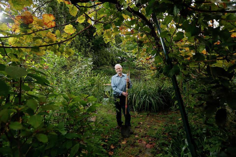 Bob Randall’s gardening book explains how to cope with Houston’s hotter ...