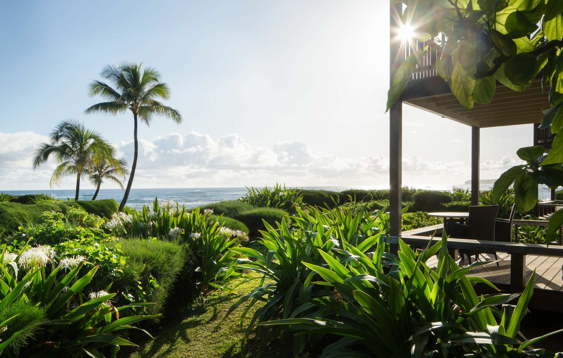 New Hawaii hotels, from $149 to $5,000 per night