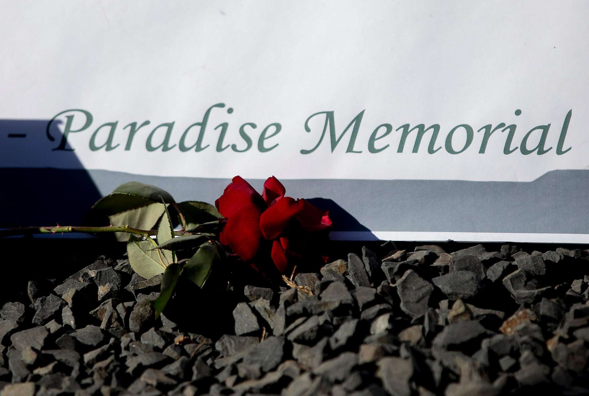 The sky was blue. The day was perfect. But in Paradise on Friday ...