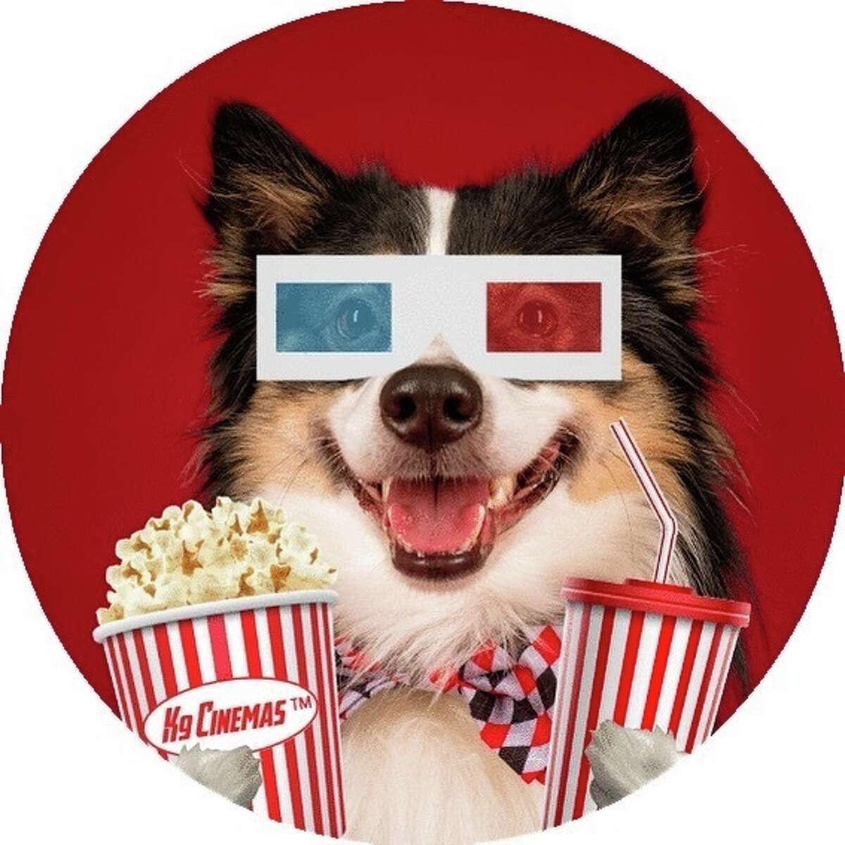 North Texas dog-friendly theater serves unlimited wine and movies