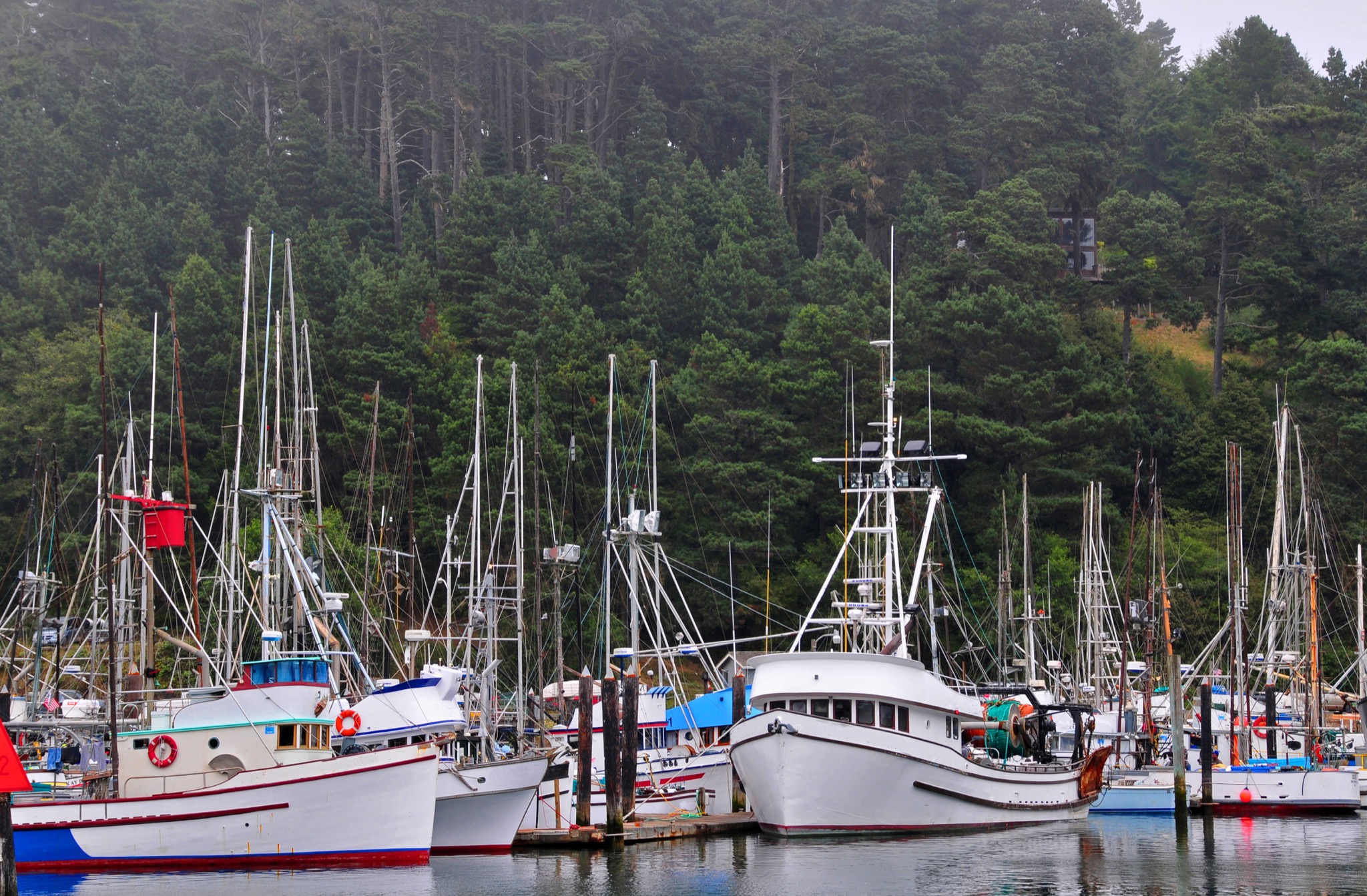 Large wave blamed for capsizing fishing boat, killing 1 off Sonoma Coast