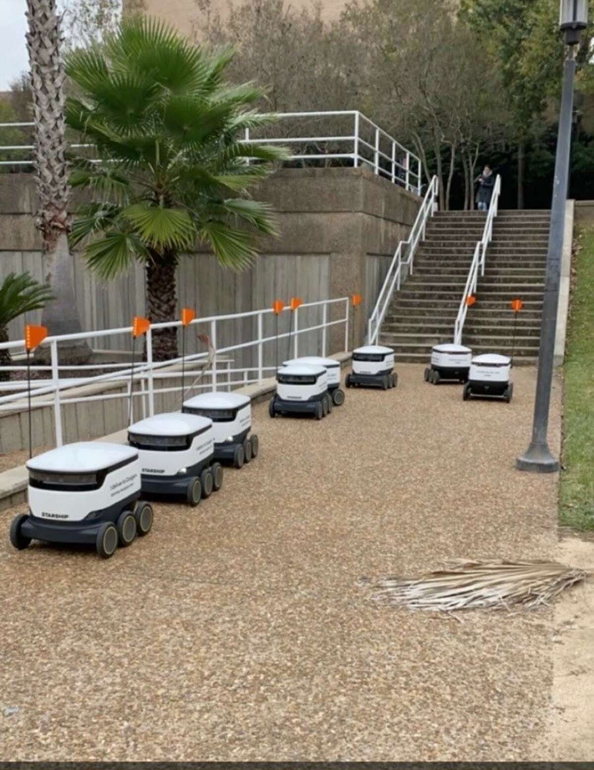UH's food delivery robots are taking over campus and causing a frenzy ...