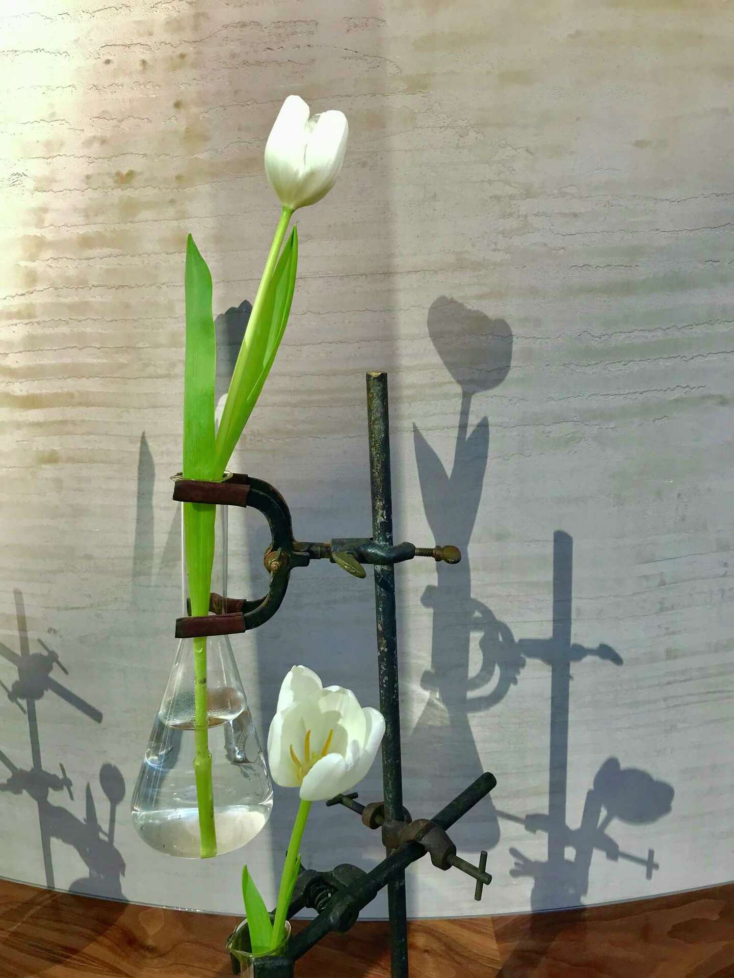 Guard and Grace steakhouse ready to impress Houston