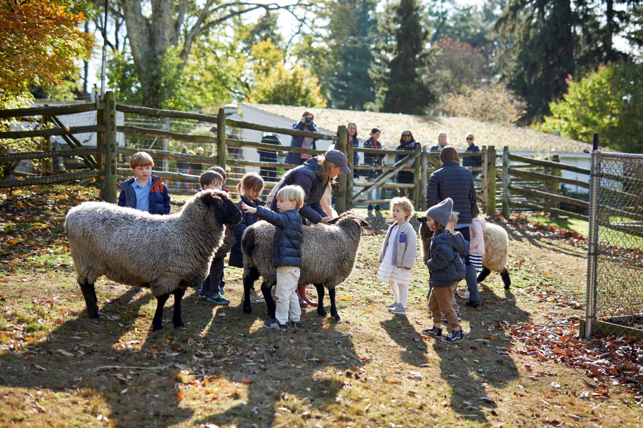 Greenwich Country Day expands again, acquiring historic French Farm