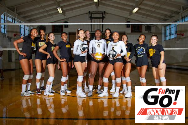 SportStars NorCal Volleyball Rankings: Top 20, Nov. 19