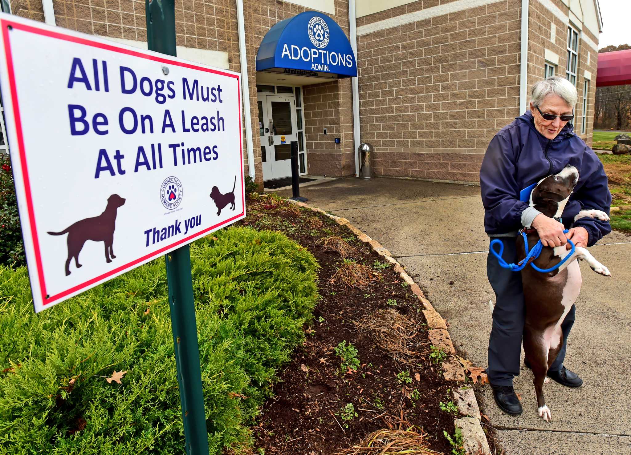 21 dogs arrive at CT Humane Society from FL after Hurricane Ian