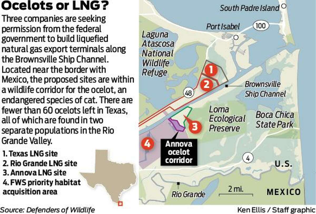 Four approved LNG projects to bring billions to South Texas
