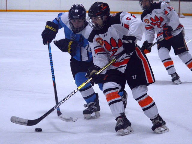 HOCKEY: Tigers roll to win over Longhorns