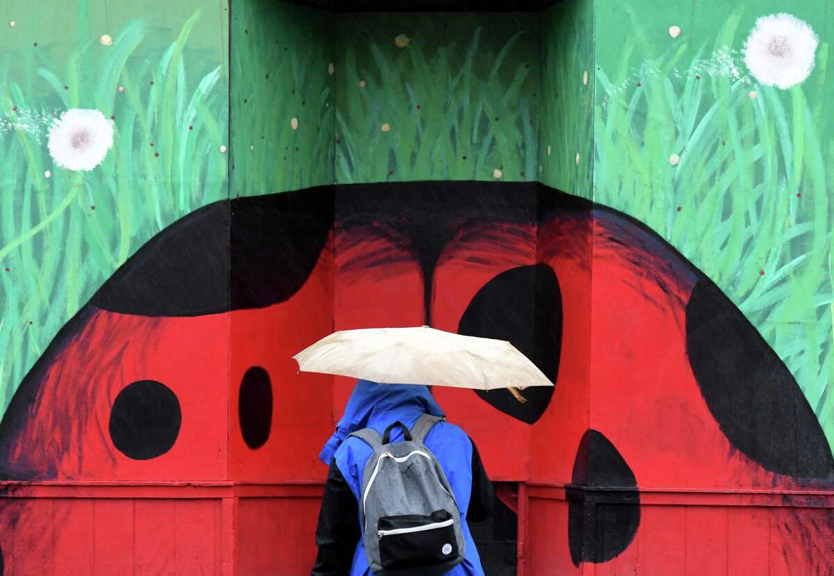 A celebration of Albany's public murals