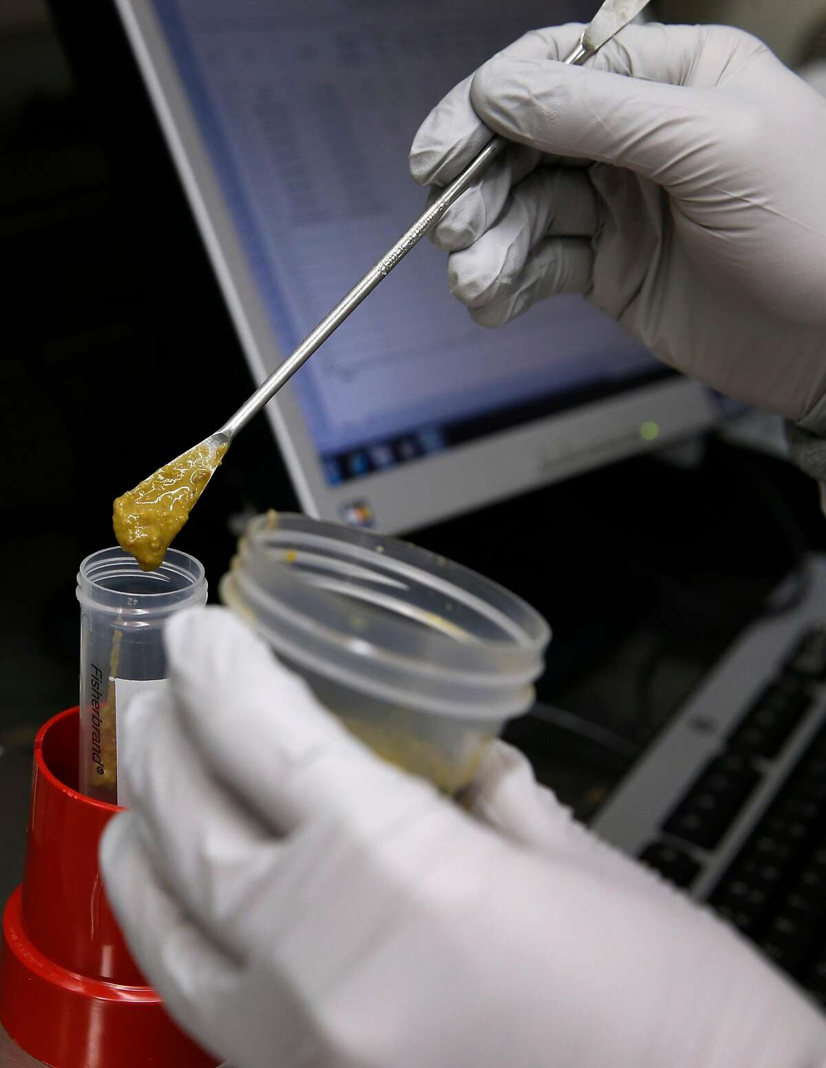 The secret Richmond lab where Bay Area crab season annually learns its fate