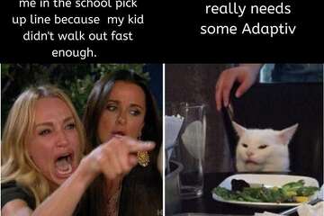 Fred's Fish Fry cat meme