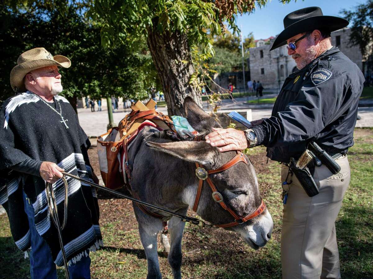 Author and burro share Christmas story with San Antonio children at the ...