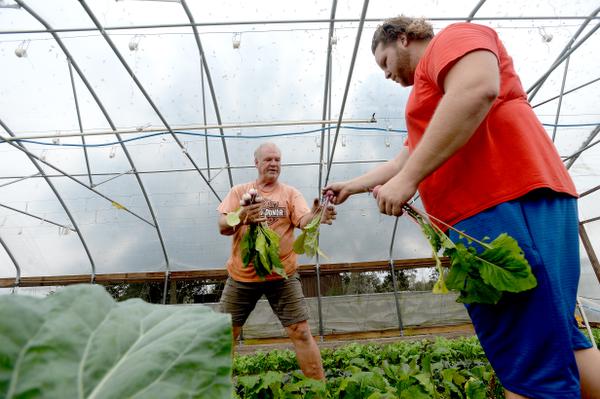 Donna’s Farm brings organic produce to Thanksgiving tables