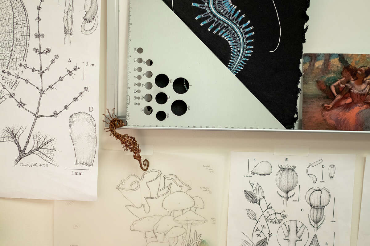 Meet the San Francisco artist with a grisly side gig: Performing whale ...