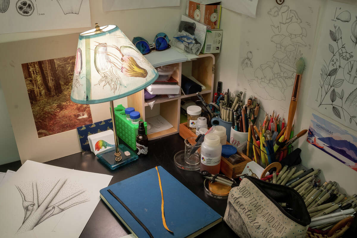 Meet the San Francisco artist with a grisly side gig: Performing whale ...