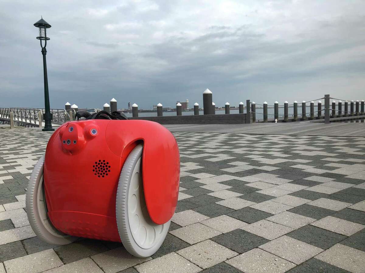 Cargo-carrying robots are coming. Do we need them?