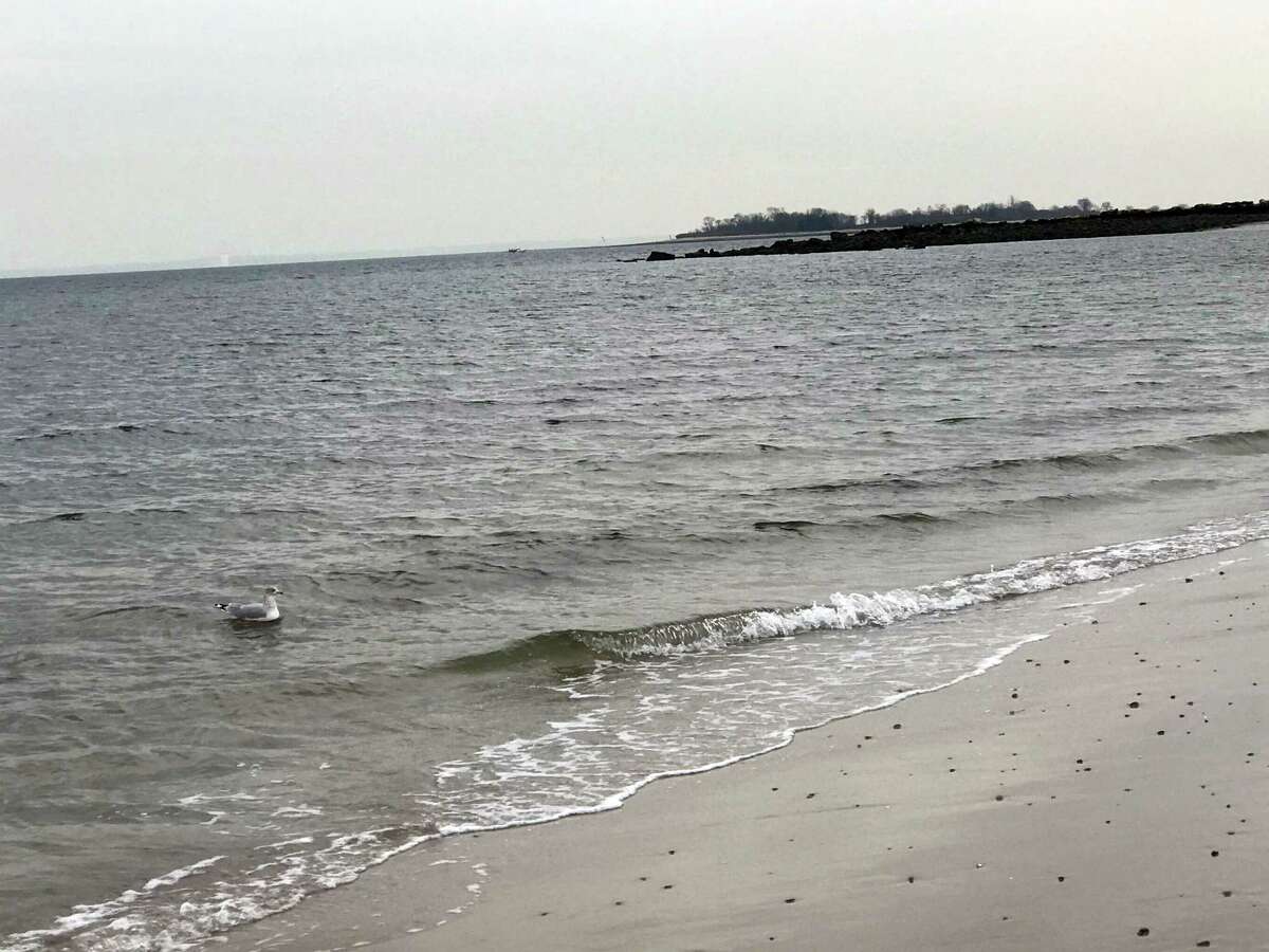 Westport Views: A cloudy day at Compo Beach