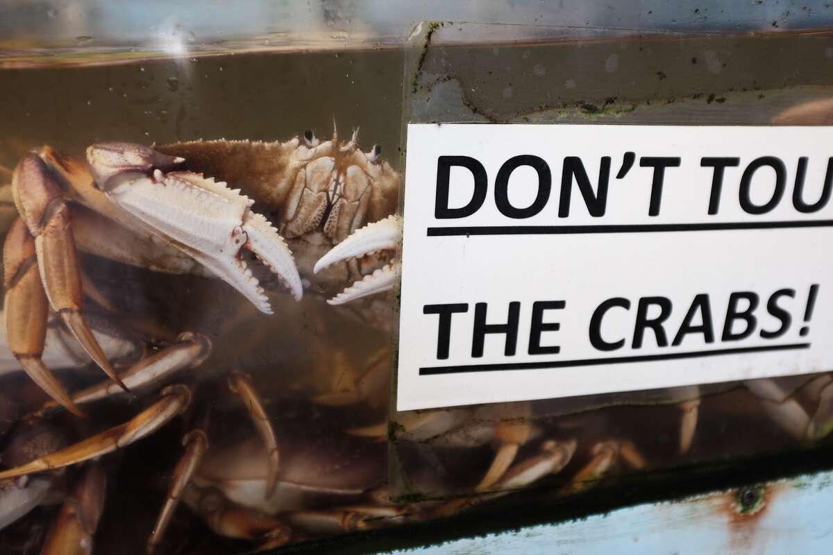 What's worth your time in the neighborhood San Franciscans love to hate ...