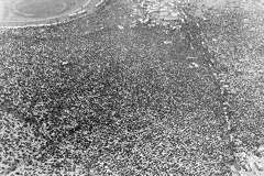 The 1969 Altamont Free Concert