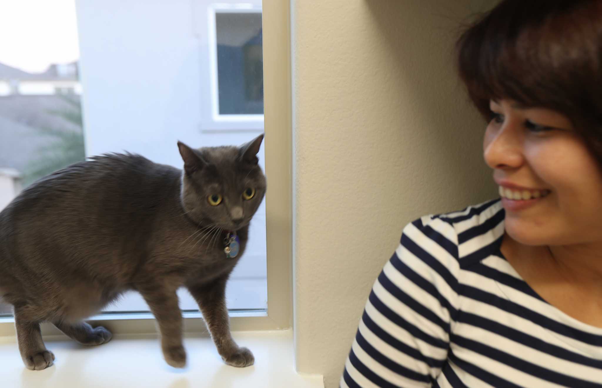 Houston couple let their cat pick their new home. Here's how that went.