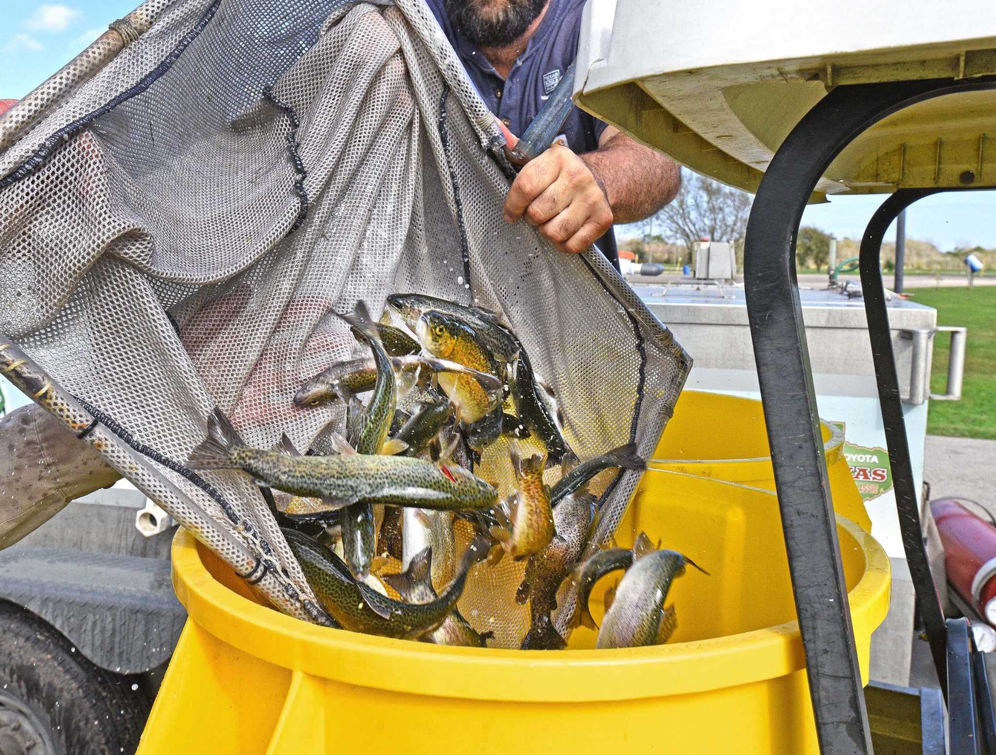 Rainbow trout stocking program gives Texas anglers winter opportunities