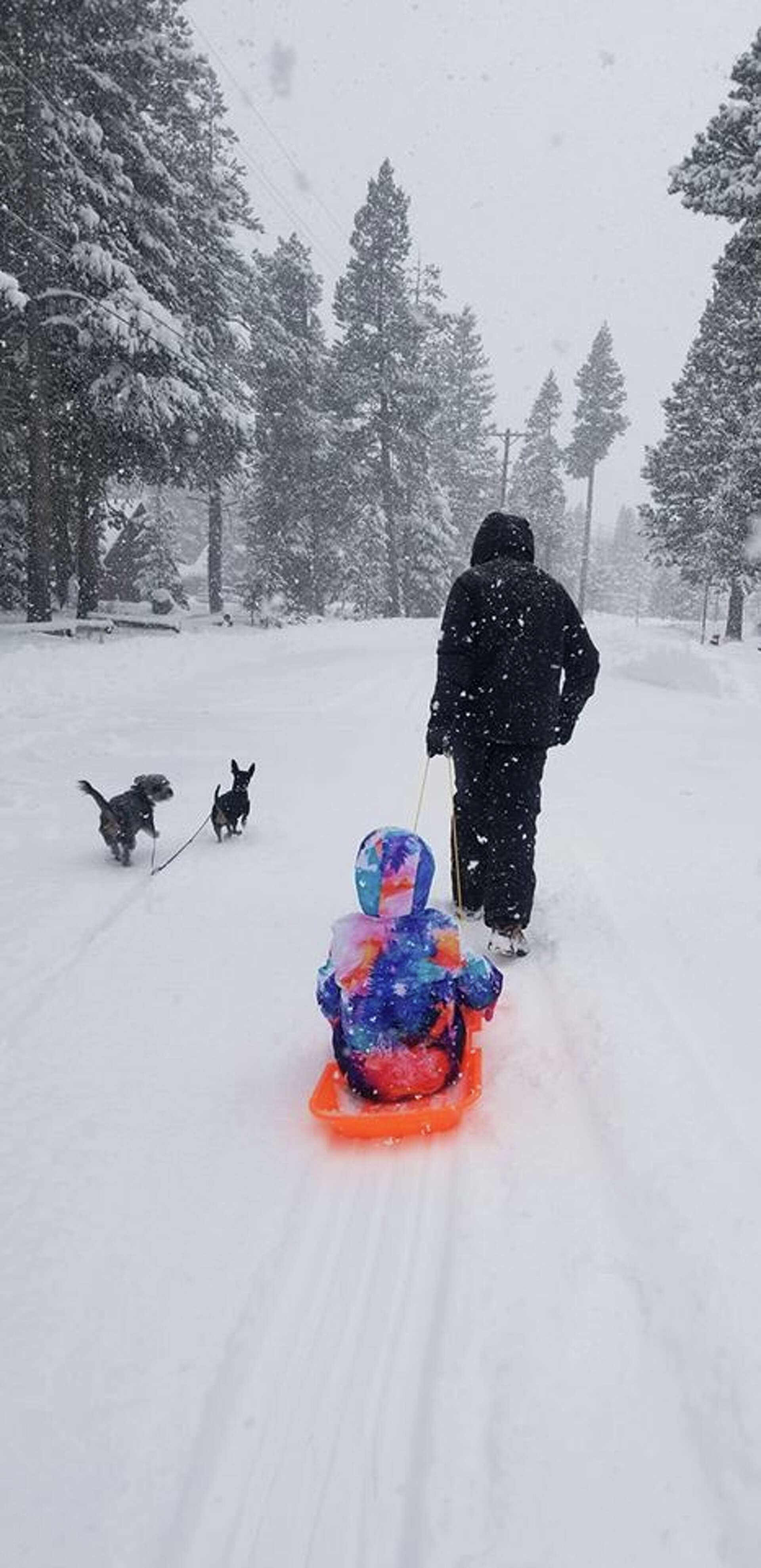 7 feet in 7 days: See the snow piled up in Tahoe