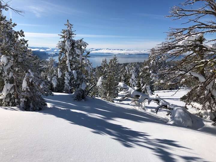 7 feet in 7 days: See the snow piled up in Tahoe