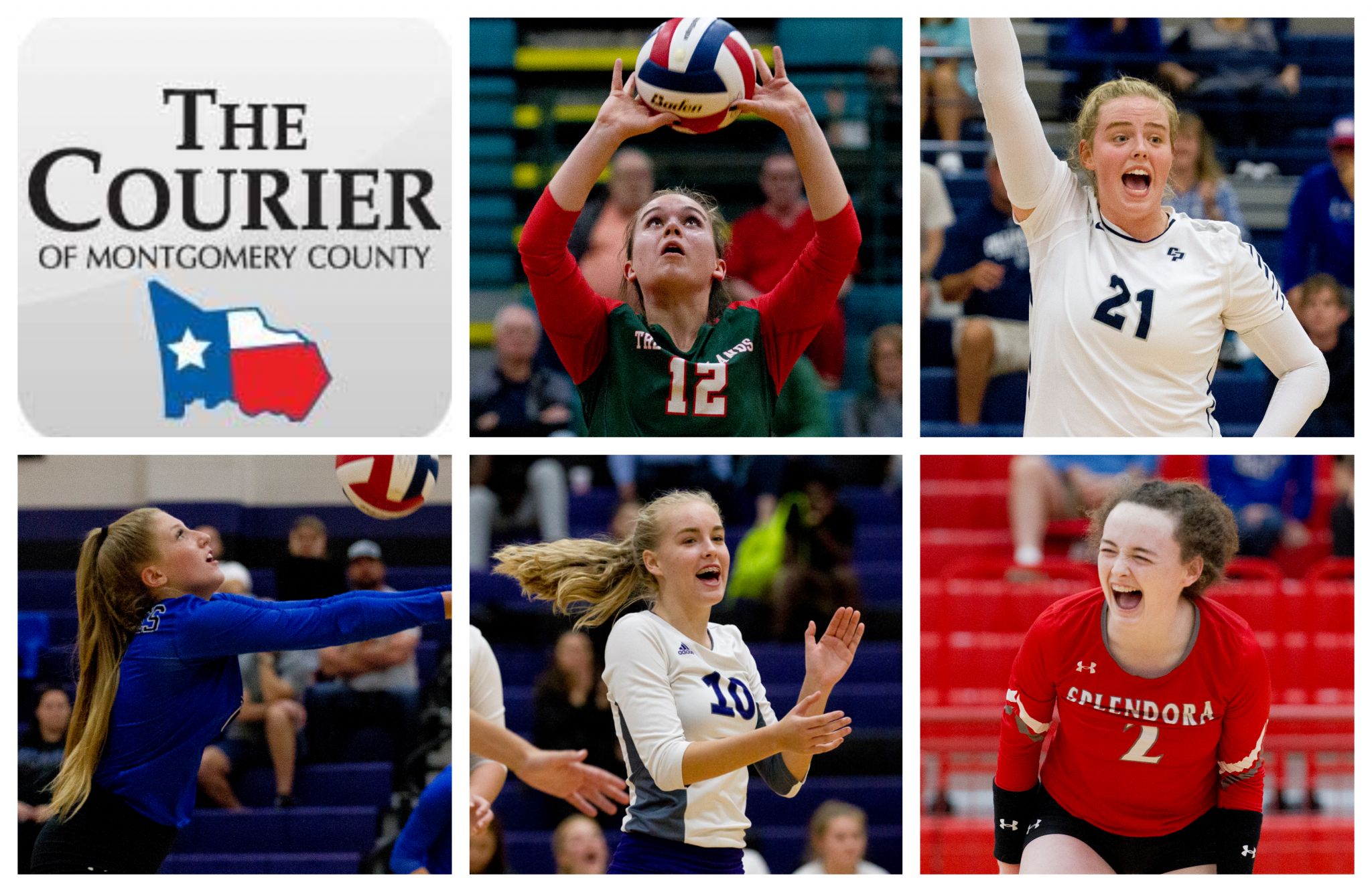 VOLLEYBALL: Who should be The Courier's Setter of the Year?