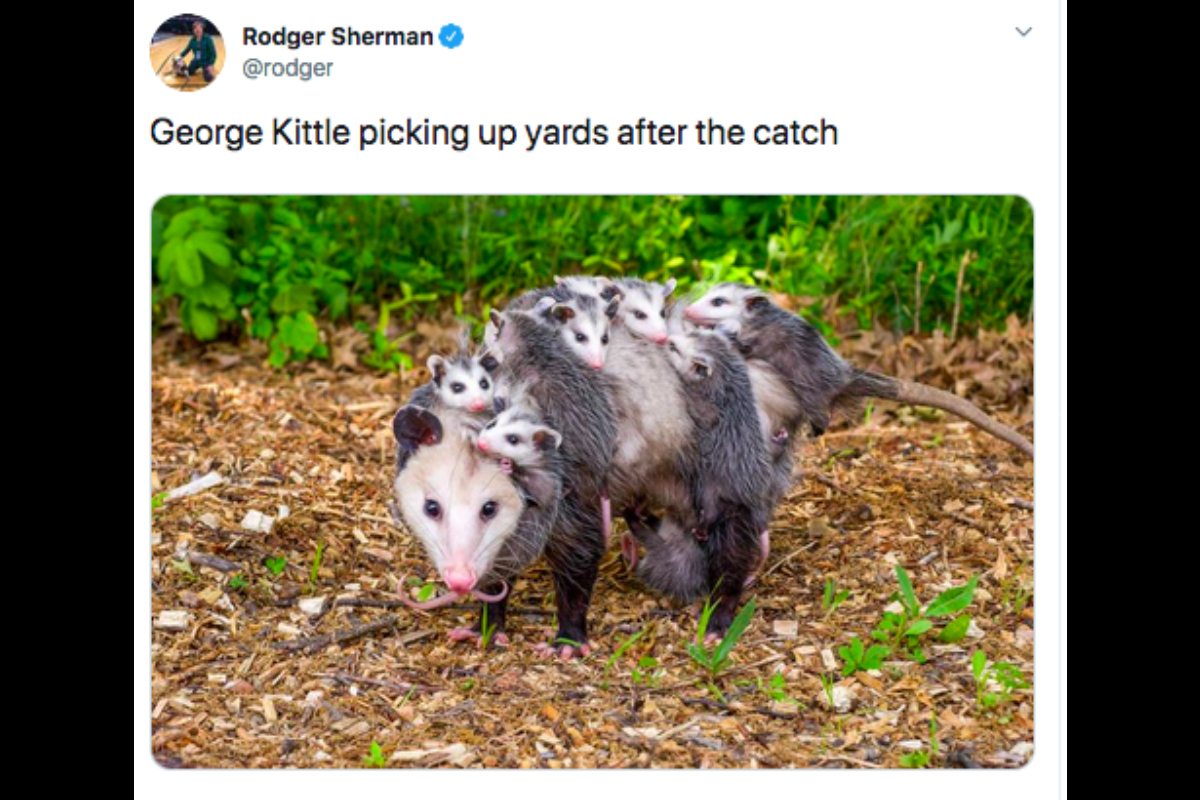 49ers' George Kittle's insane run explodes the internet