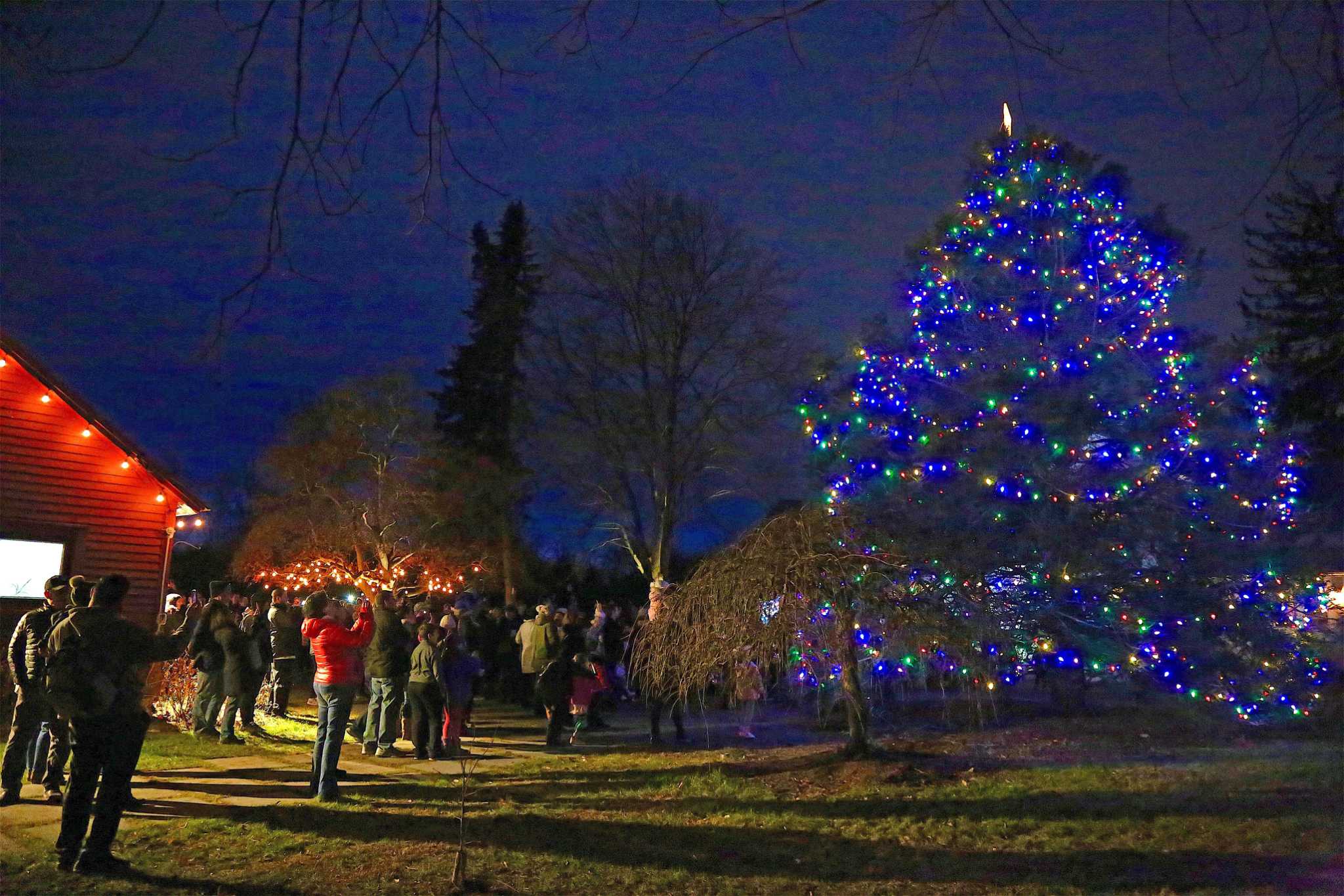 In Pictures: Tree lighting at Wakeman Town Farm