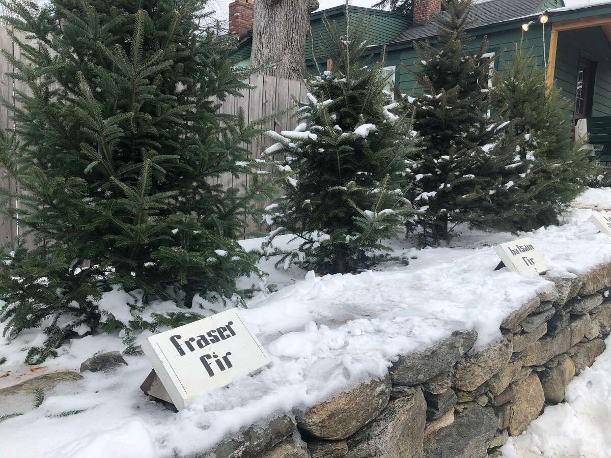Jones Family Farms home to harvesting tradition
