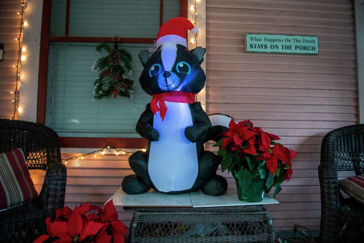 San Antonio’s Beacon Hill celebrates neighborhood skunks with special ...