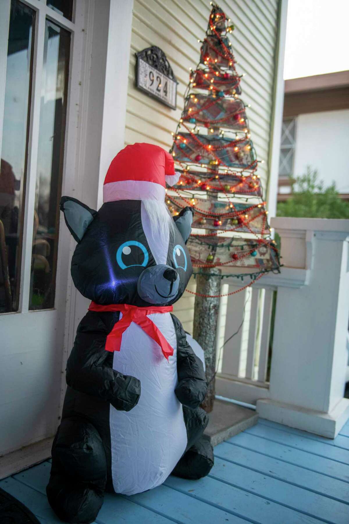 Striped skunks: these little stinkers also help keep pests under ...