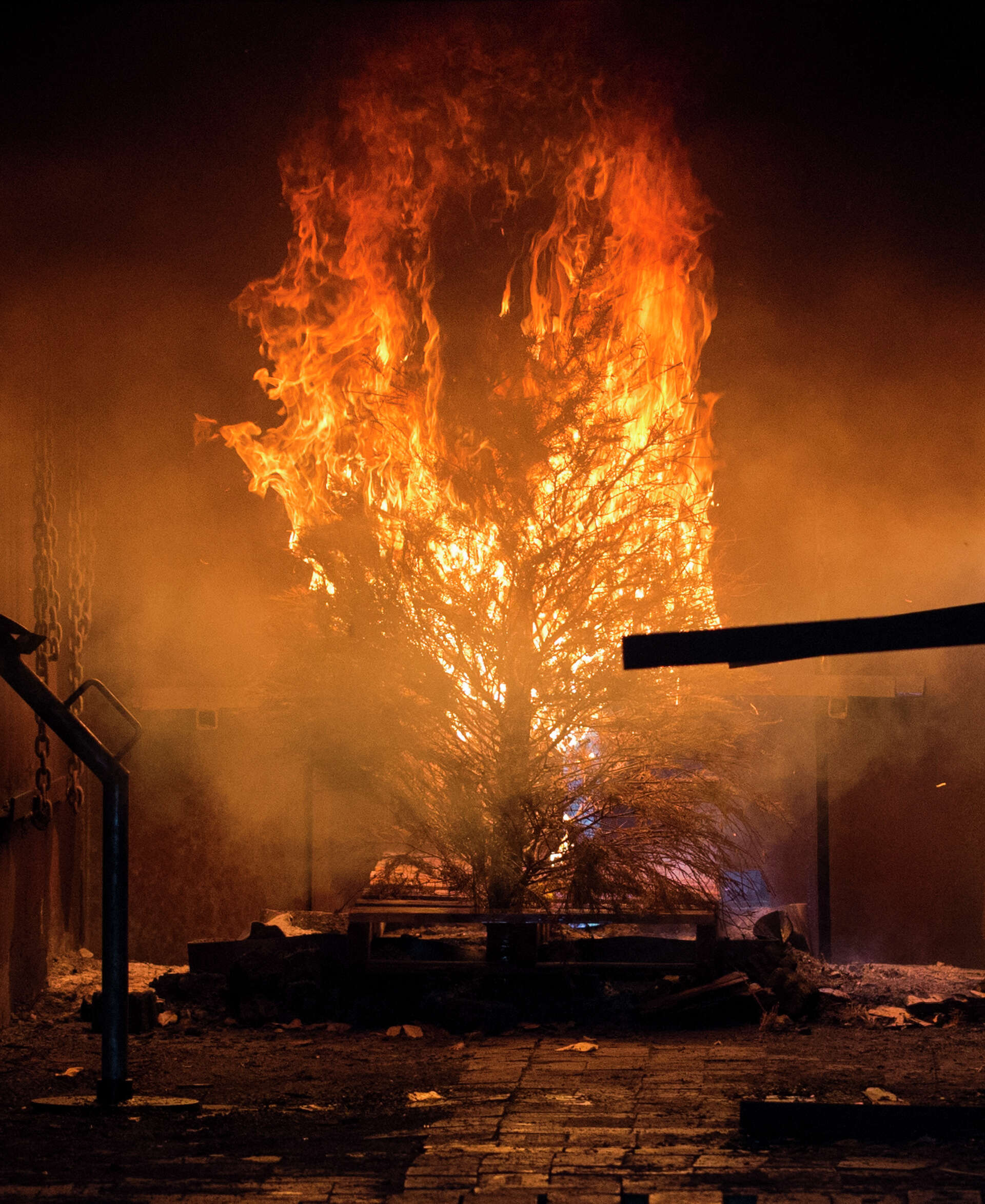 VIDEO: Here's how easy it is for your Christmas tree to catch fire ...