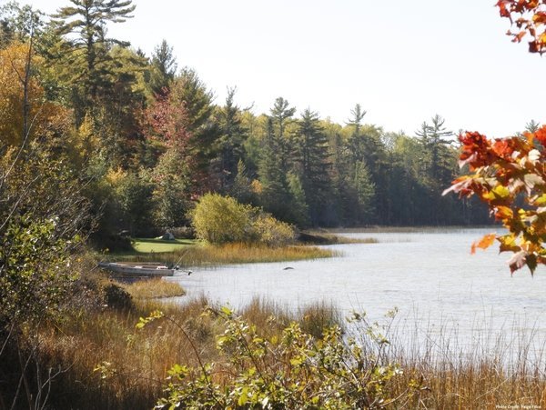 Learn more about lakes and lake shoreline protection