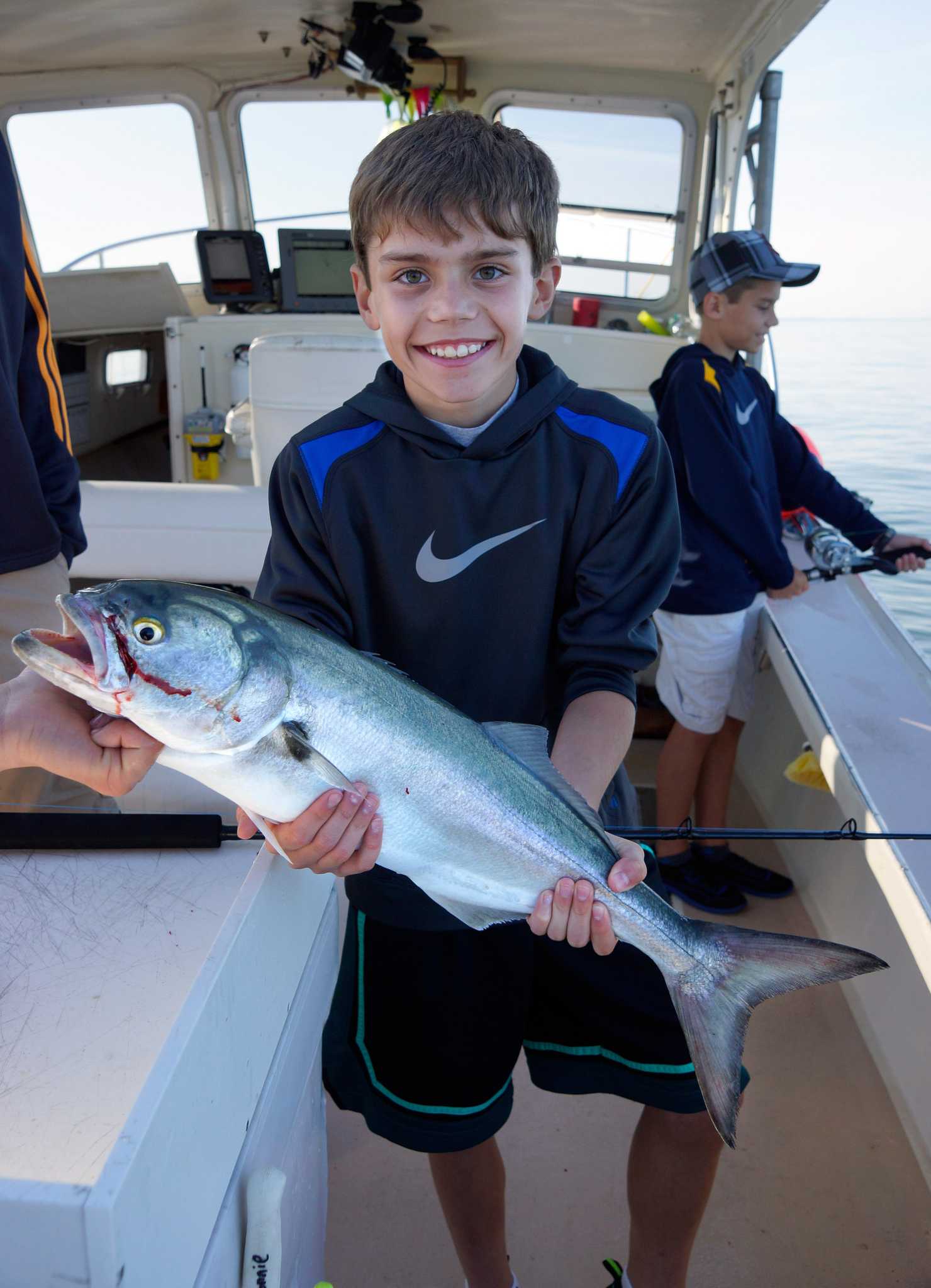 CT moves to protect bluefish population