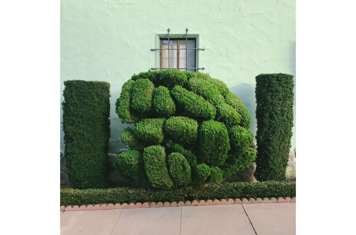 A glimpse of Seussville in the topiary of San Francisco