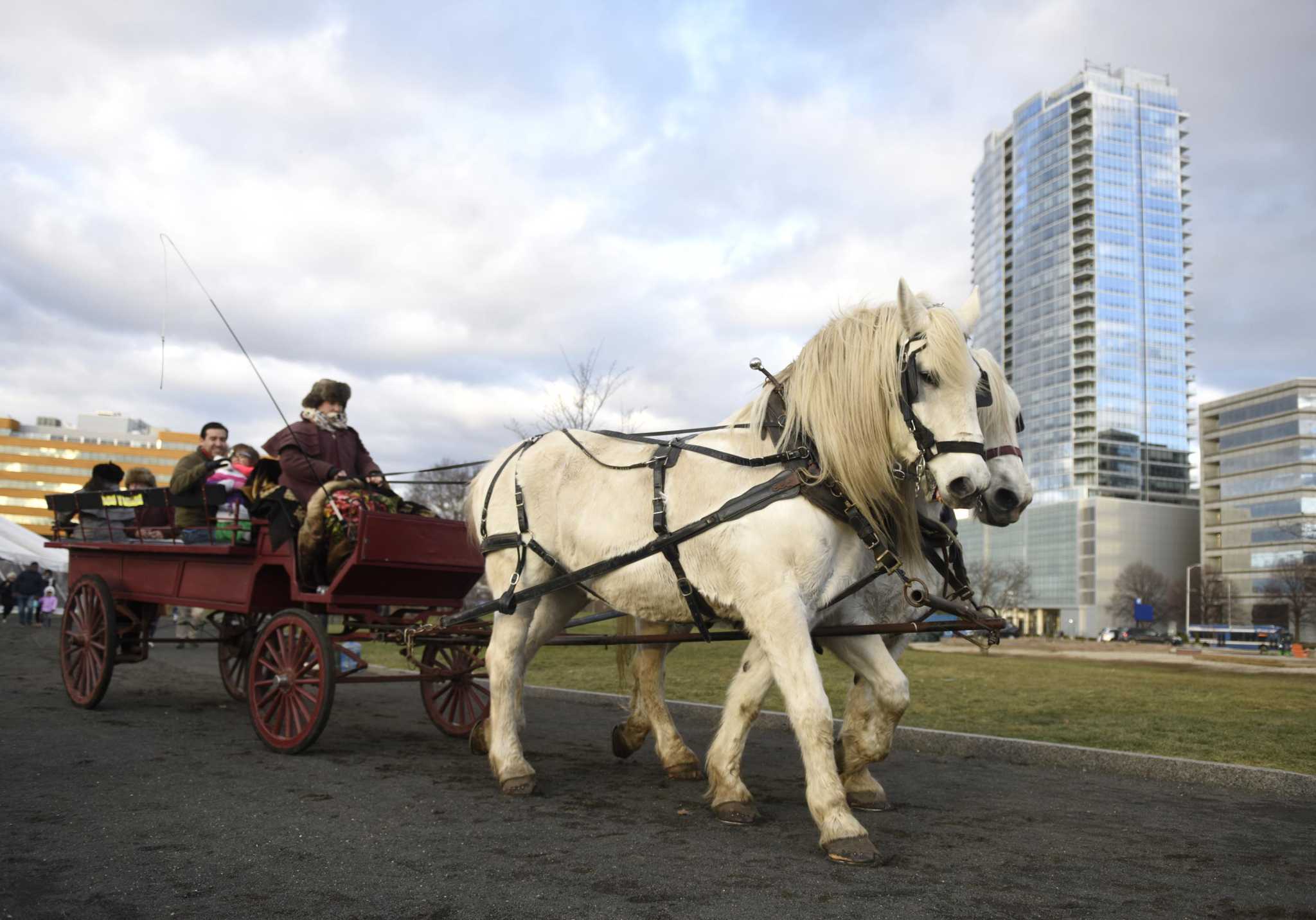 Horse-drawn carriages ride through Mill River Park