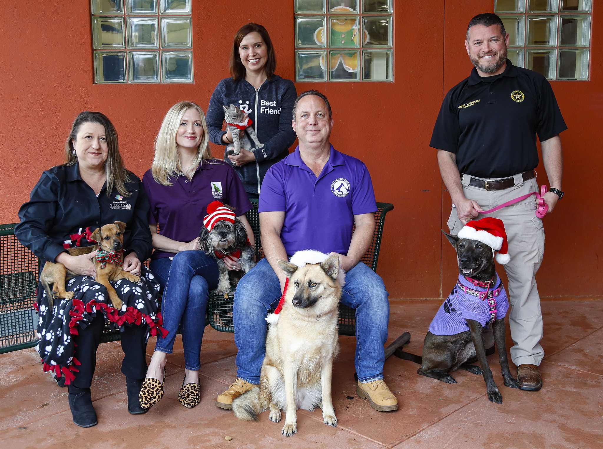 Massive holiday animal adoption event unites four of Houston's largest ...