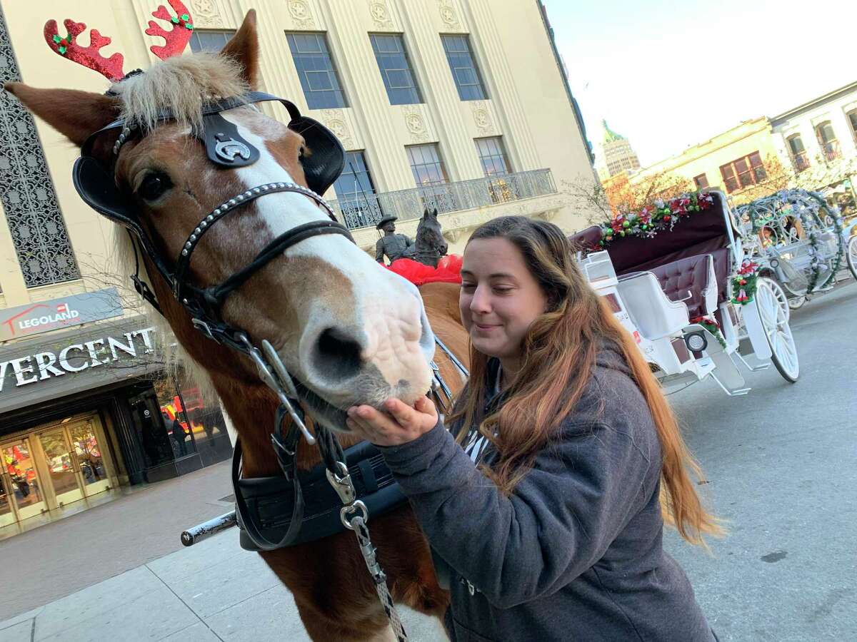 Meet two carriage horse stars of San Antonio’s downtown carriage ride scene