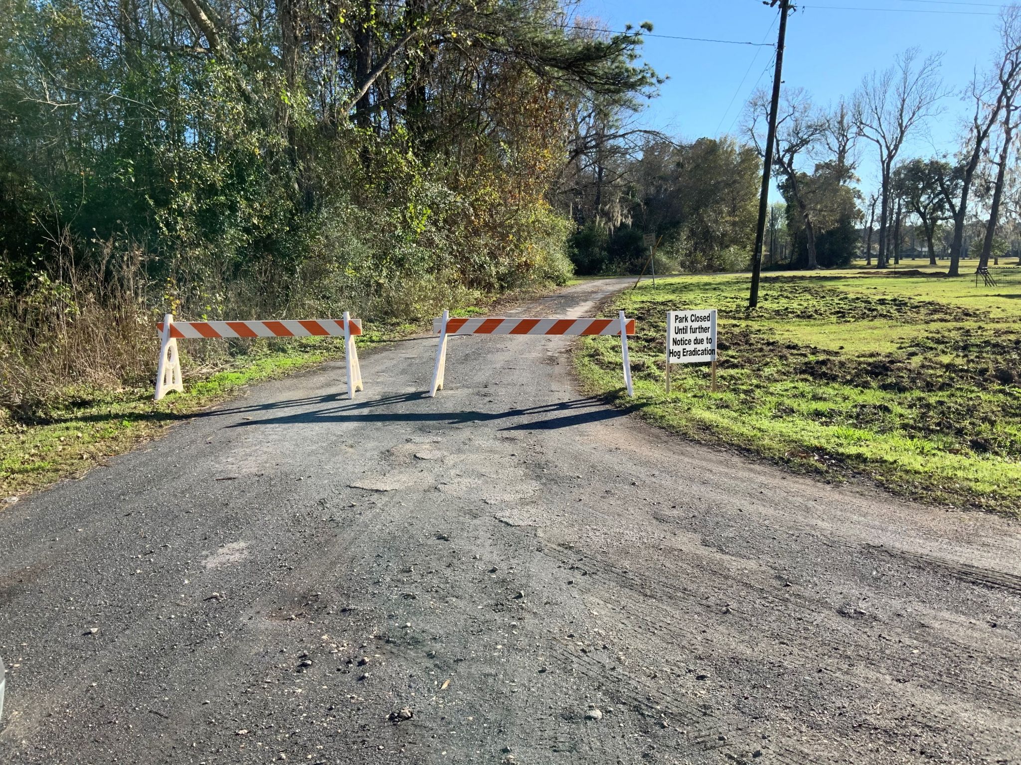 Rare wild hog attack spurs swine population control initiative in ...